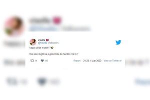 Youtuber And Streamer Vixella Biography | BroadBiography