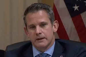 Adam Kinzinger Biography: From Congress To Commentary | BroadBiography