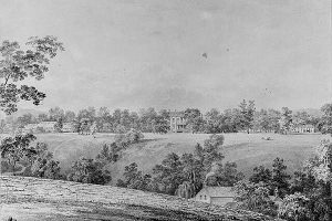 Everything About David Hosack Hyde Park Estate | BroadBiography