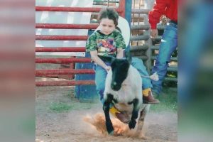 Gattlin Griffith Biography: Rodeo Roots to Hollywood | BroadBiography